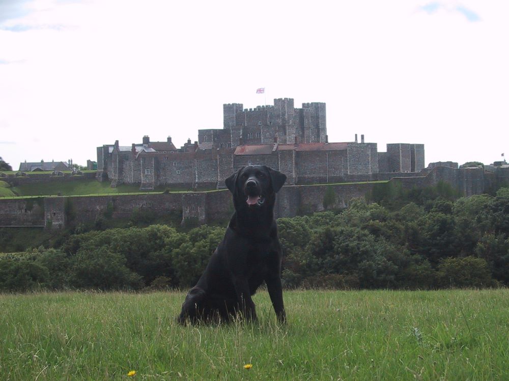 Pedigree Pets - Bournepark Gundogs