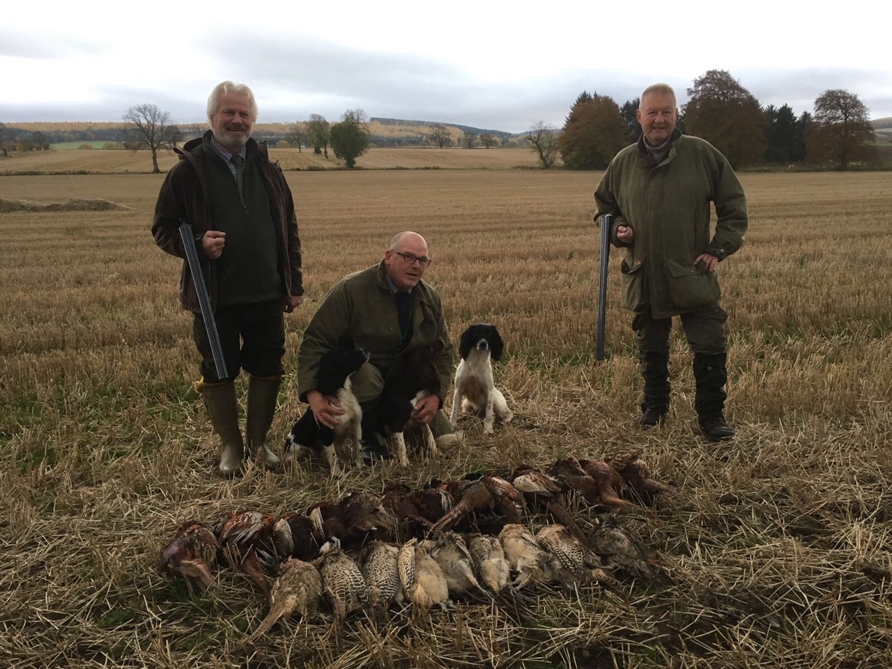 My Favourite Links - Bournepark Gundogs